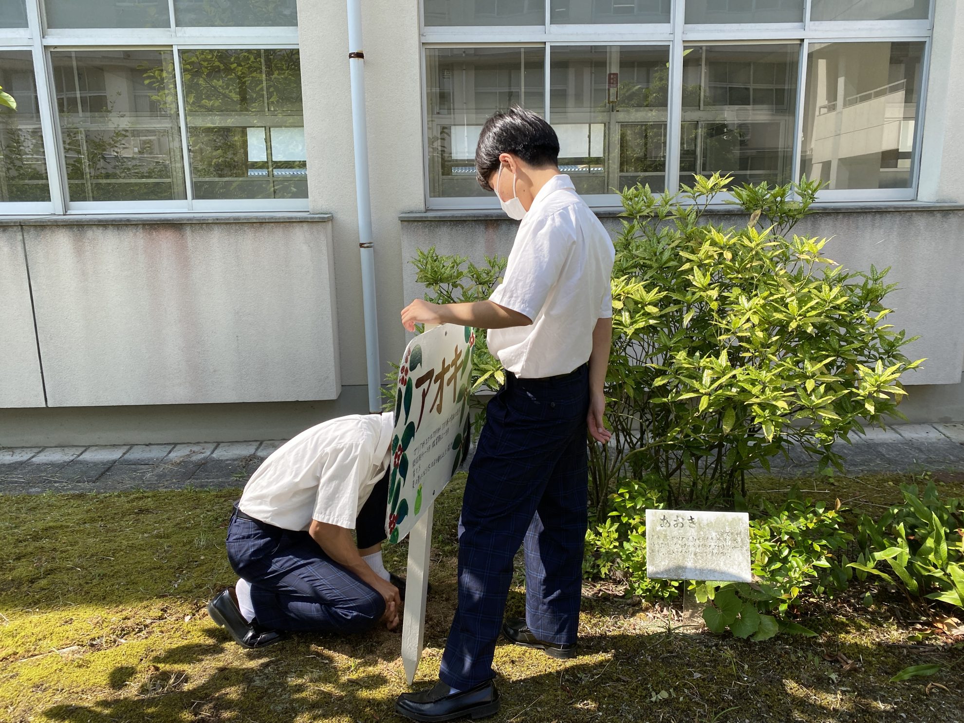 美術Ⅱ（R5.6.20） – 山口県立岩国総合高校